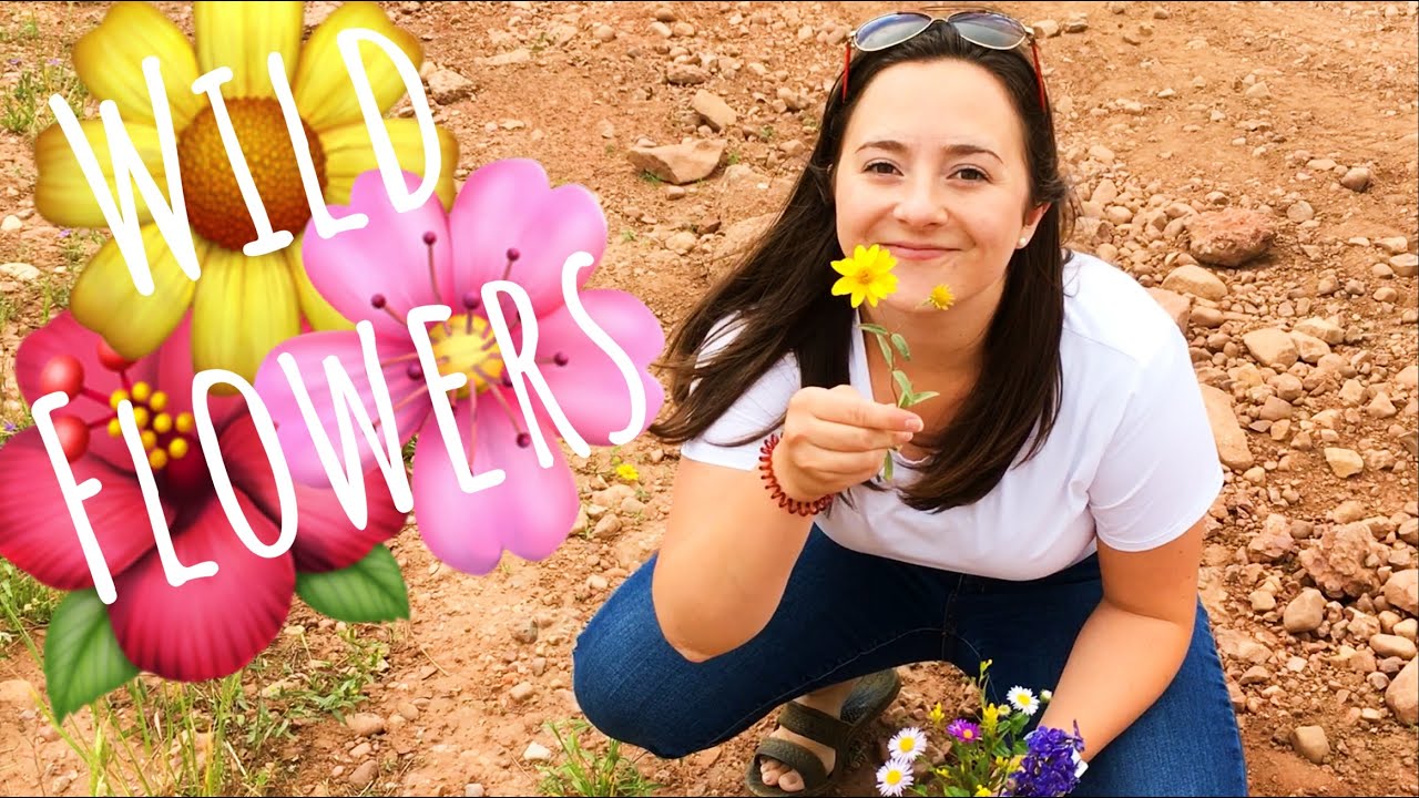 Hunting Wild Flowers 🌸🌺💐 Finding Heaven on Earth! - YouTube