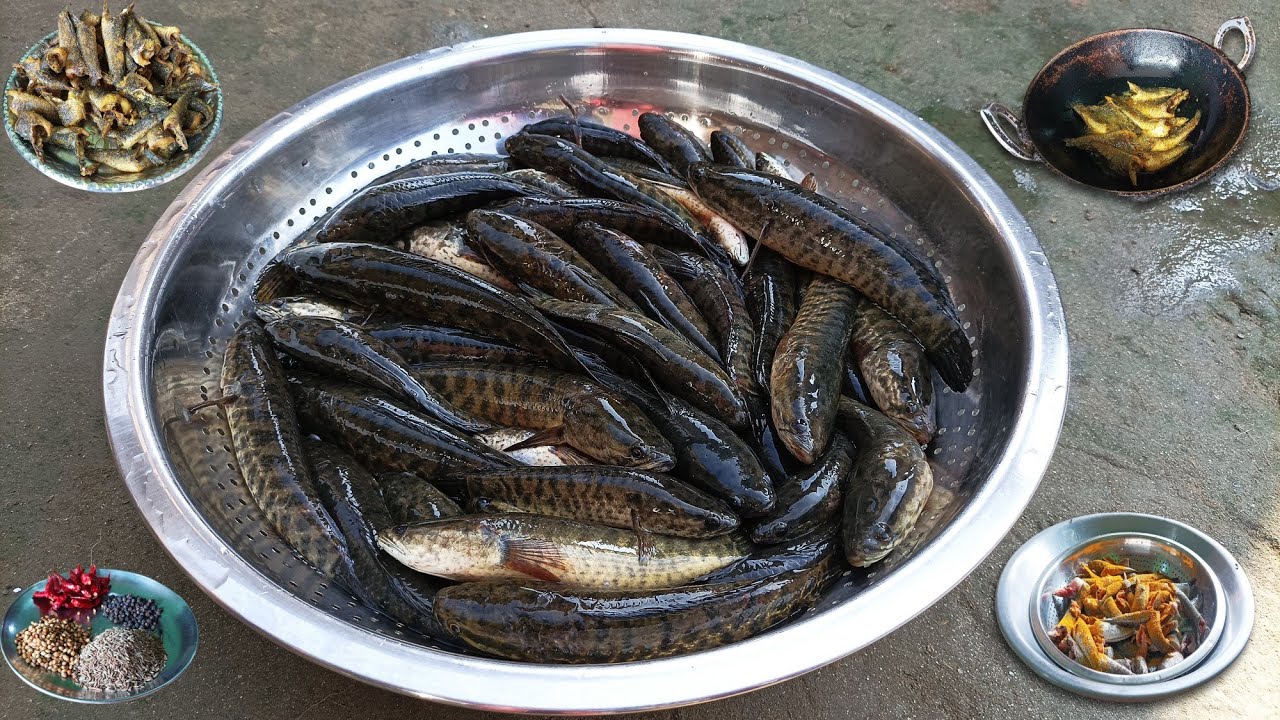 आज गरई मछली का पतला झोल बनाया इतना स्वादिष्ट Garai fish curry recipe ...