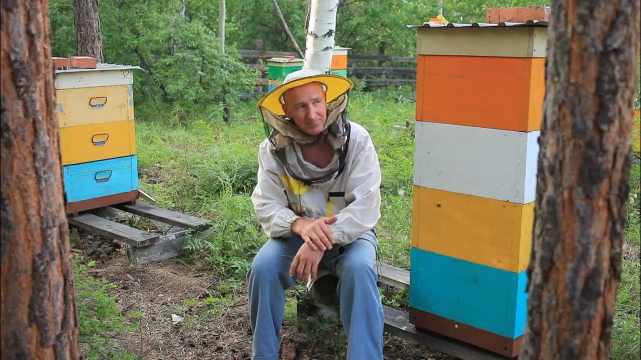 прием и подсадка маток - YouTube