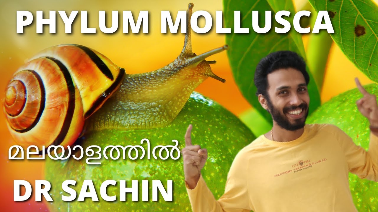 phylum mollusca | malayalam | animal kingdom | class 11 | knowledge ...