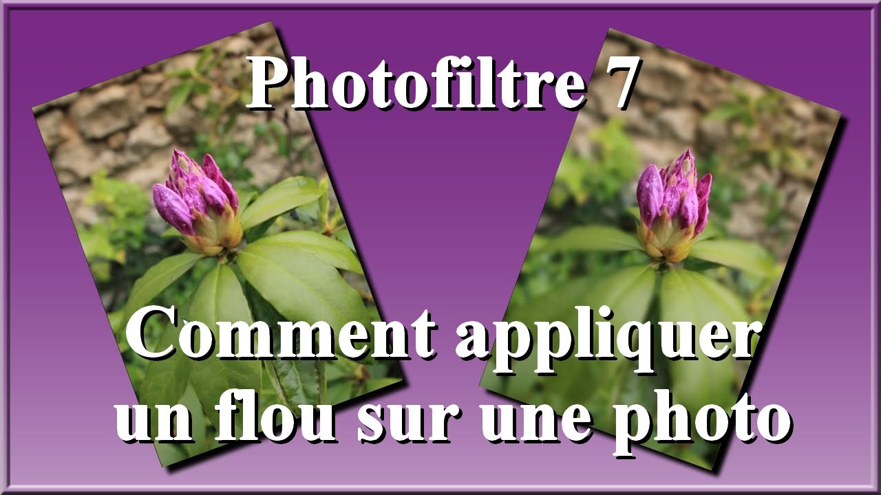 Photofiltre 7 comment appliquer un flou sur une photo - YouTube