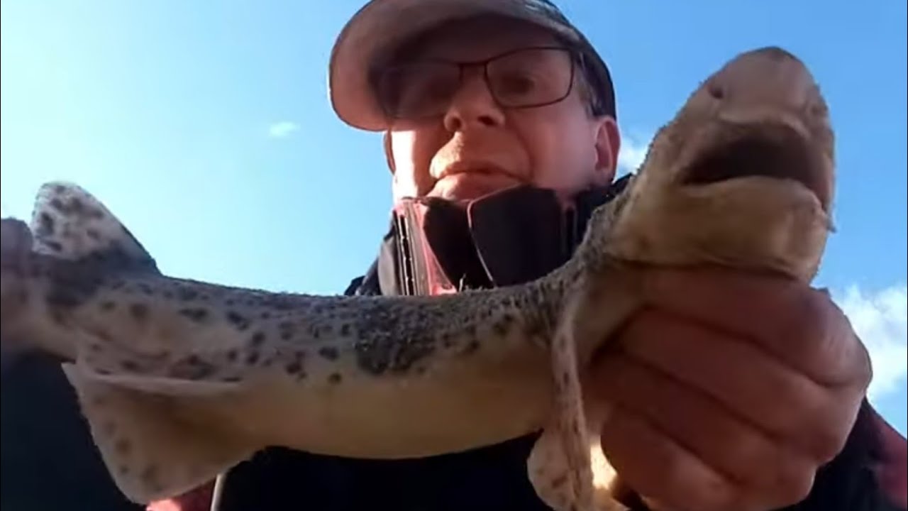 Beach fishing Trimmingham + Overstrand north Norfolk #fishing #bass # ...