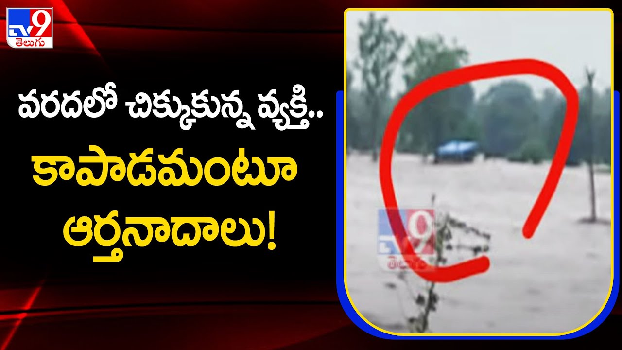 వరదలో చిక్కుకున్న వ్యక్తి.. కాపాడమంటూ ఆర్తనాదాలు! | Kamareddy District ...