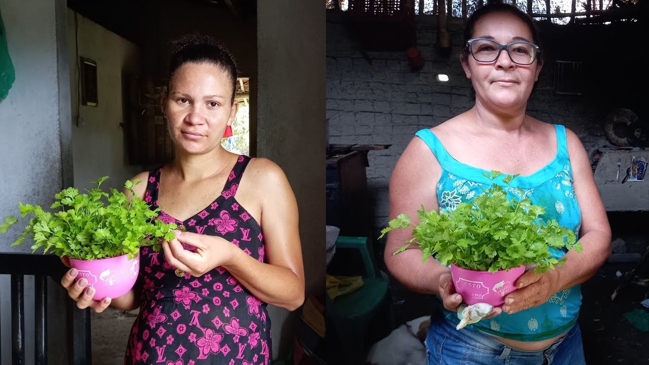 nossa vida na roça. somos gratos a Deus por tudo que temos - YouTube