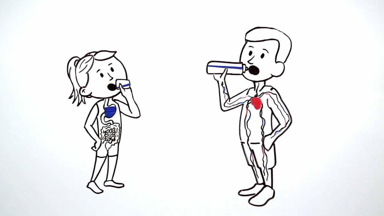 How Beverage Composition Affects Athletic Performance (Gatorade SSI ...