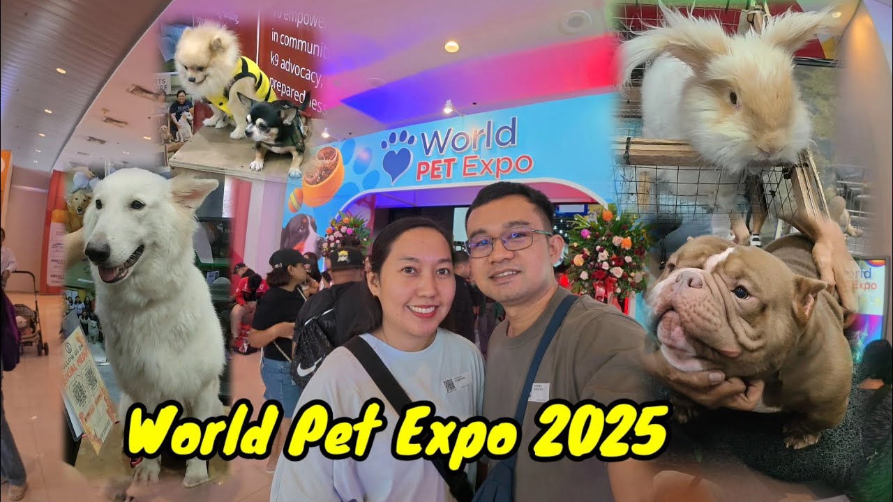 WORLD PET EXPO 2025 : Cute Pets Everywhere | Entongs World - YouTube