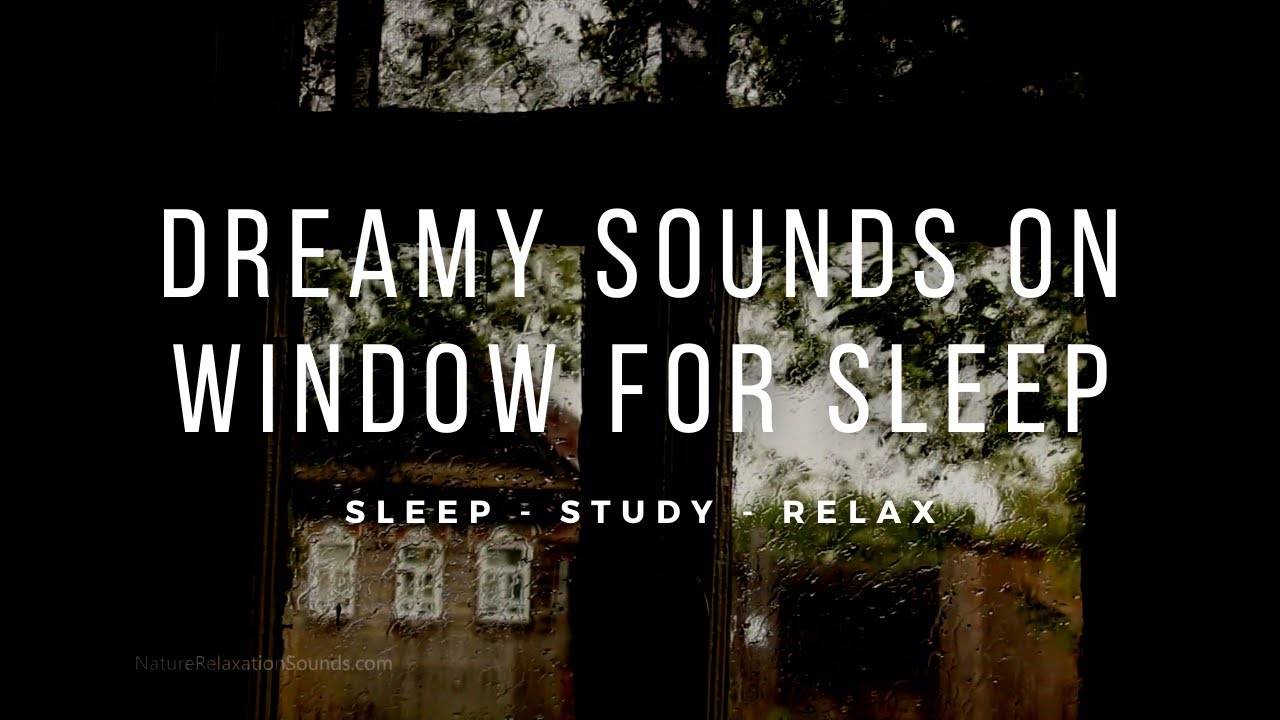 Howling Wind And Rain Sounds For Sleeping | Window Storm Sounds | 8 Hrs ...