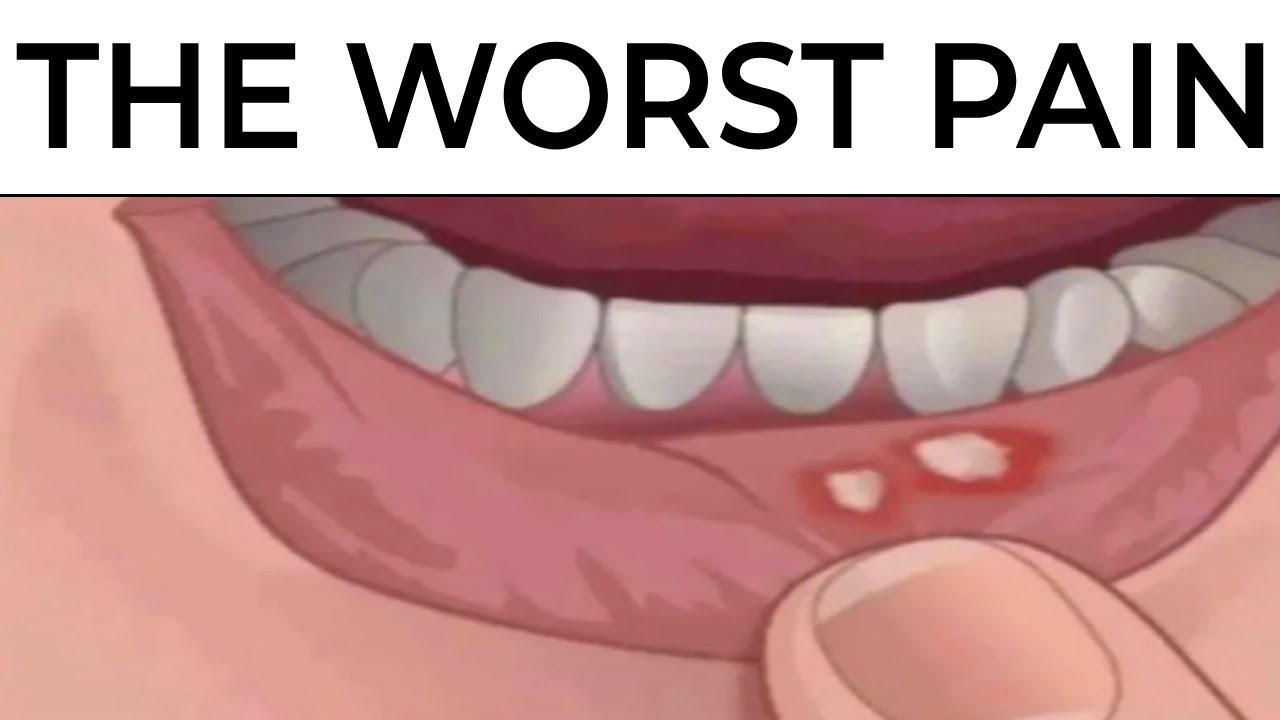 Memes Of Your Life - YouTube