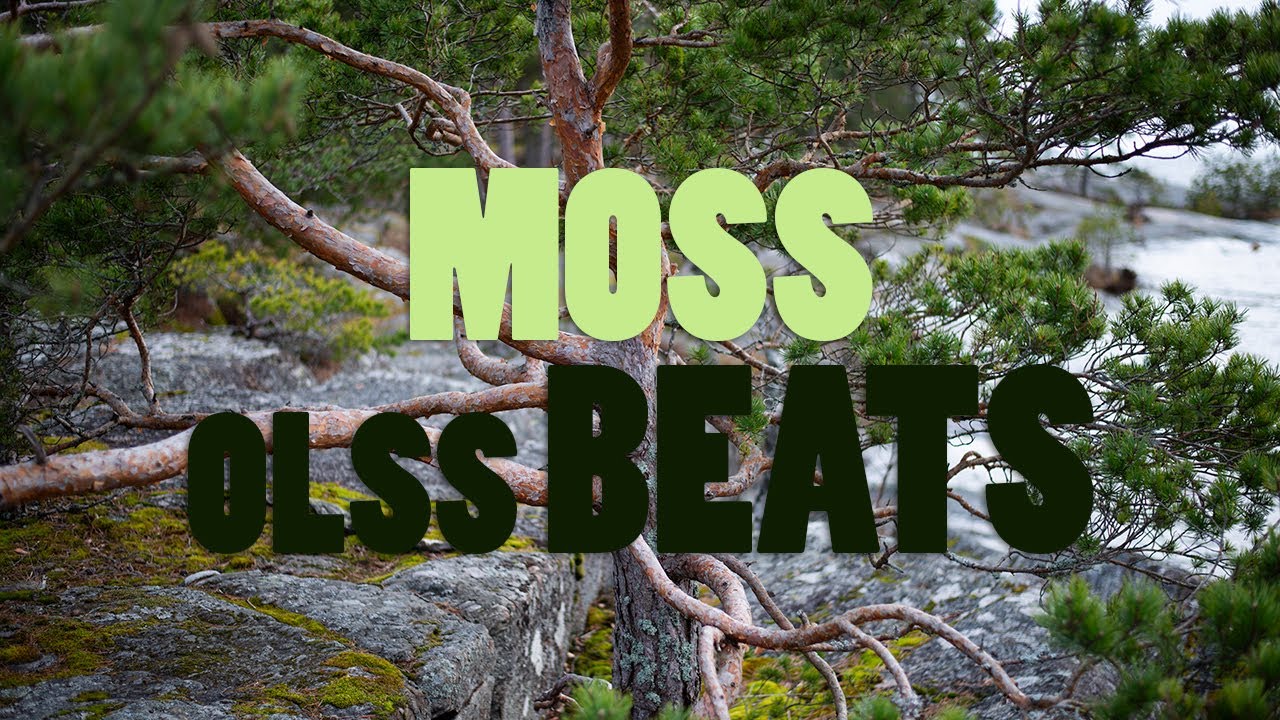 "Moss" | Hip hop | Melodic | Rap Instrumental | Boom Bap Type Beat ...