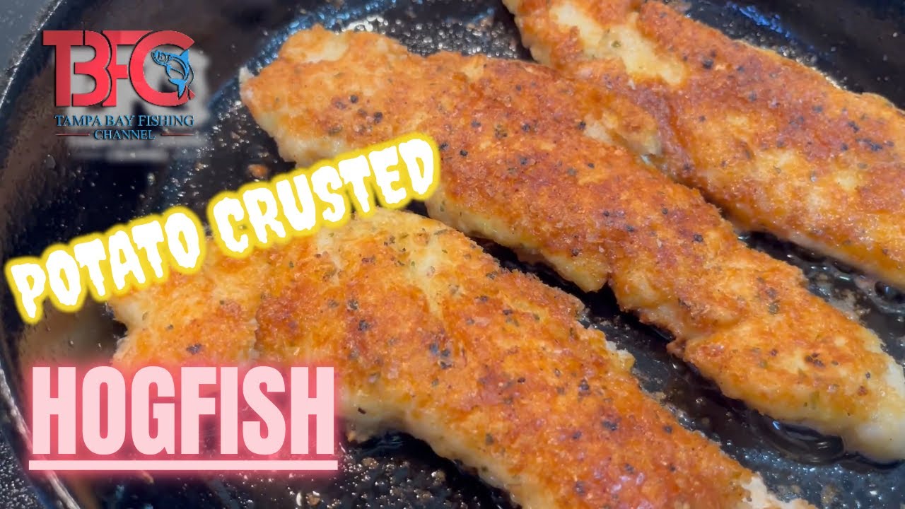 Potato Crusted Hogfish!! - YouTube