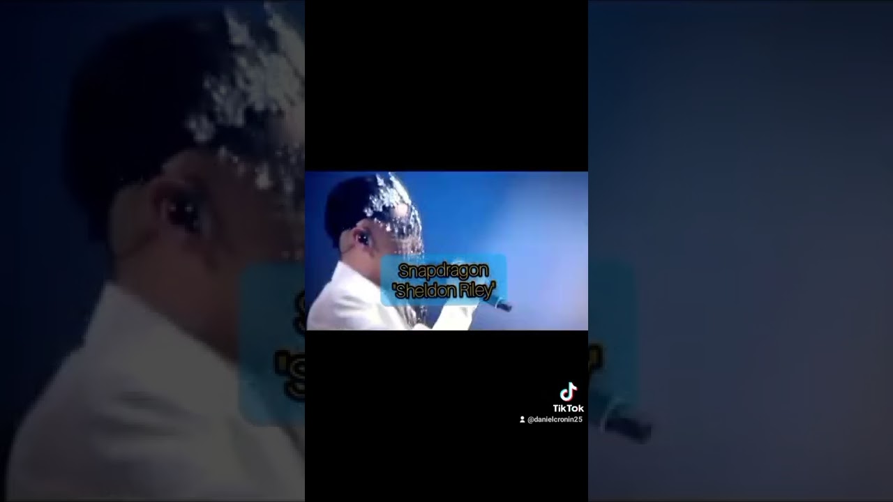 Masked singer Australia Snapdragon & Mirrorball Revealed - YouTube