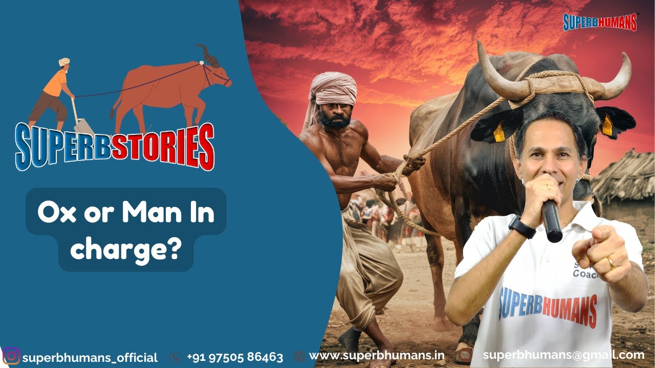 Ox or Man In charge - Morning ritual - From Story only - VLOG Moral ...