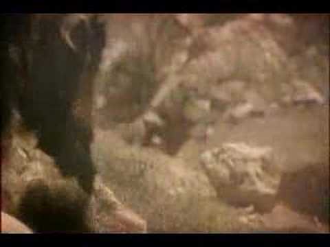 Guns, Germs and Steel Part 4 of 18 - YouTube