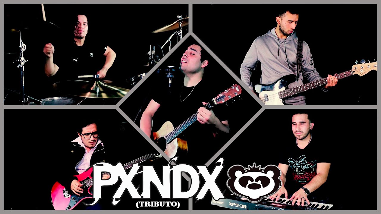 PXNDX - Nuestra Aflicción (Cover) | TRIBUTO A PXNDX | - YouTube