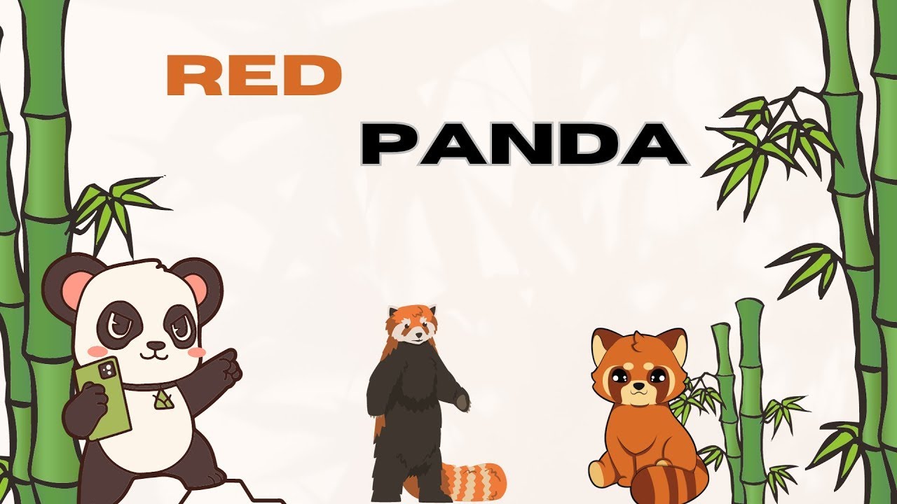 Red Panda Haven| A Quirky Expedition into the Bamboo Forest| Story for ...