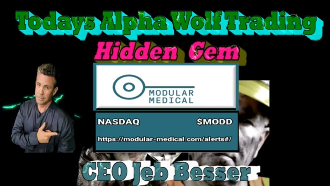 Alpha Wolf Follow up Interview CEO Jeb Besser $MODD Modular Medical ...