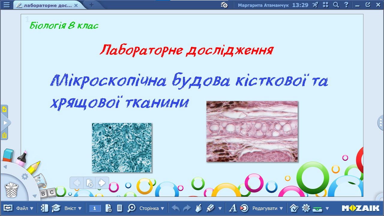 Біологія 8 клас НУШ Лабораторне дослідження Мікроскопічна будова