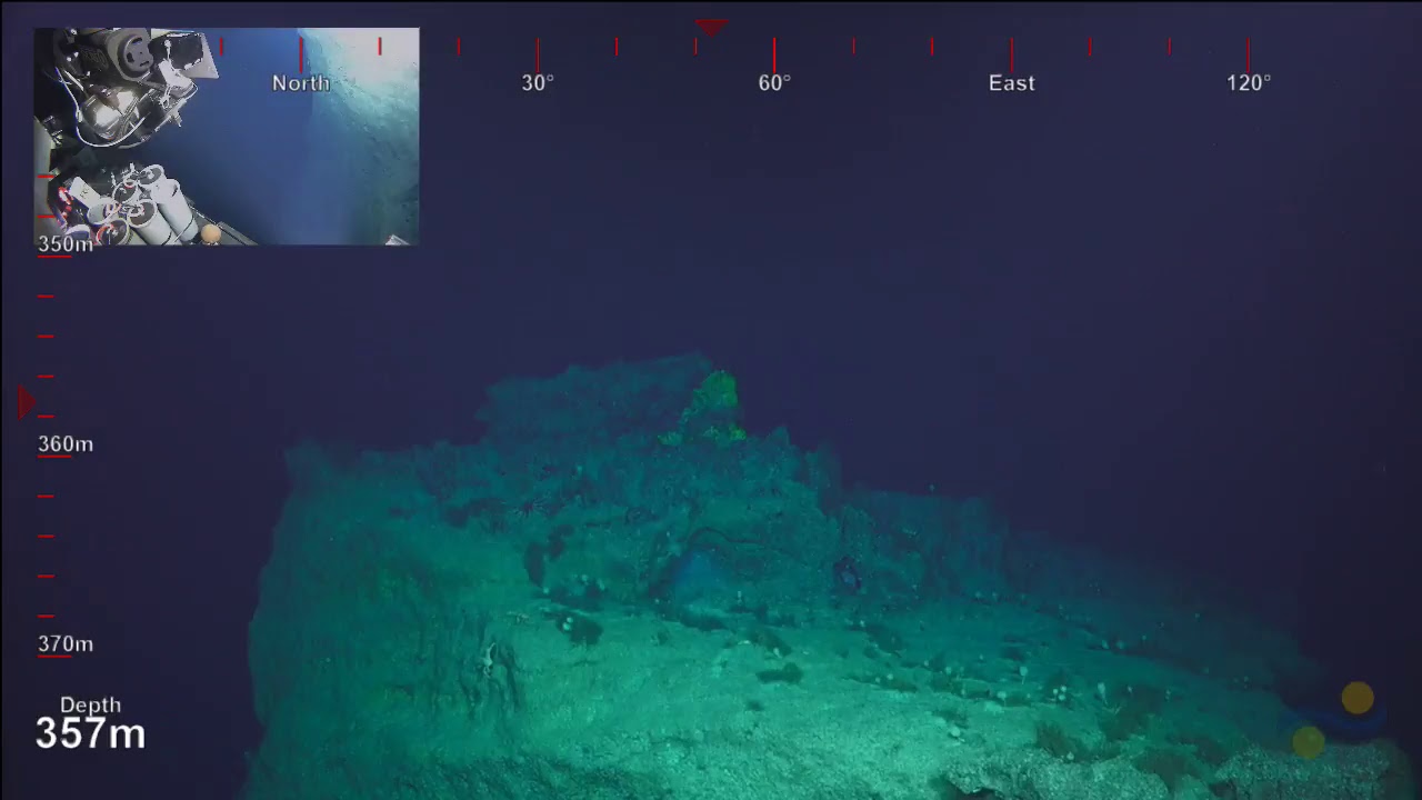 ROV SuBastian Dive 080 - Deep Sea Corals of PIPA - YouTube