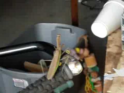 praying mantis bike ride thirst for Miller Lite - YouTube