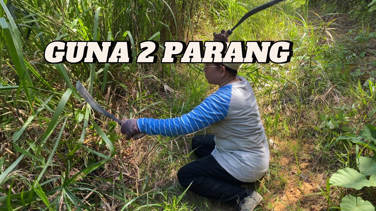 MENEBAS RUMPUT PAKAI 2 PARANG || LUASKAN JLN KERETA - YouTube