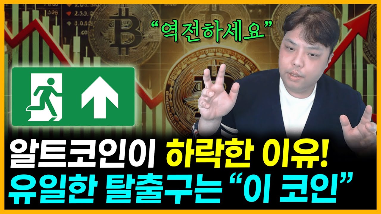 알트코인 하락 이유 추천코인으로 1000 역전 가능 비트코인 코인시장 현재 상황 비트코인캐시 도지코인 리플 헤데라 봉크