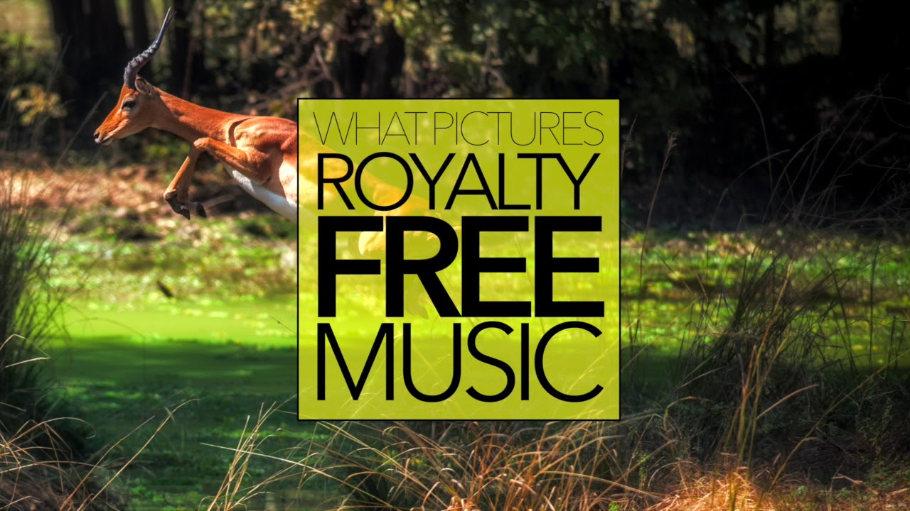 Swamp song country - gamelader