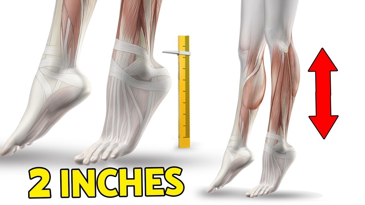 Unlock Your GROWTH Potential: 8 Natural Hacks to Add Inches to Your ...