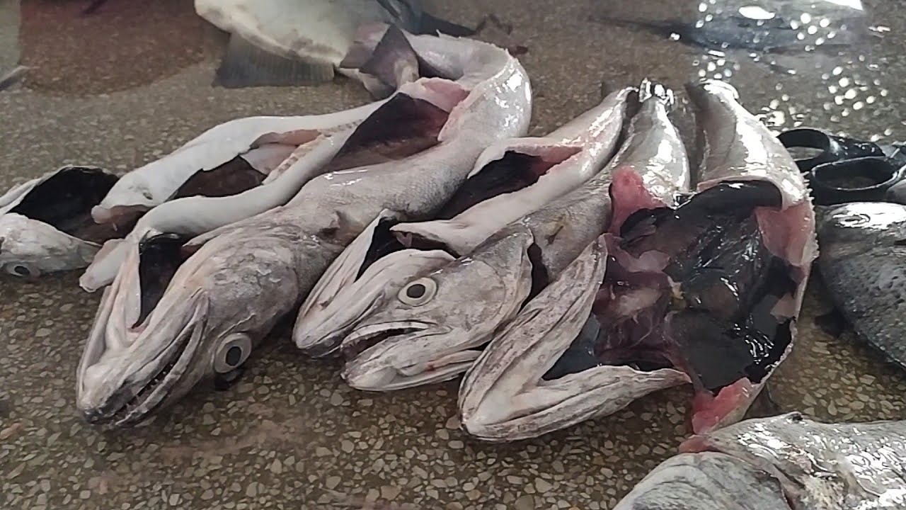 WHITING FISH CLEANING & PREPARING SKILLS - YouTube