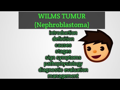 WILMS TUMUR (Nephroblastoma) introduction definition causes stage sign ...