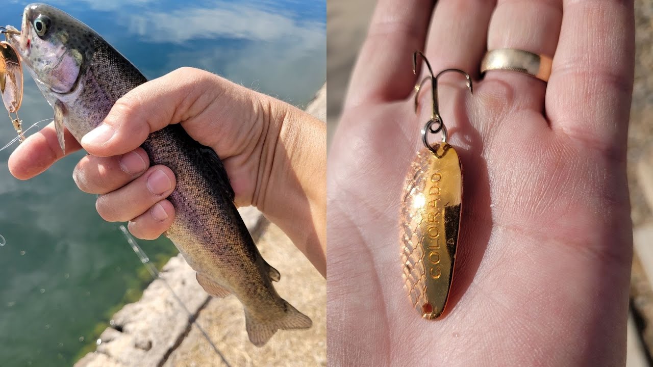 Catching Stocked Rainbow Trout at Local Community Pond in Arizona - YouTube