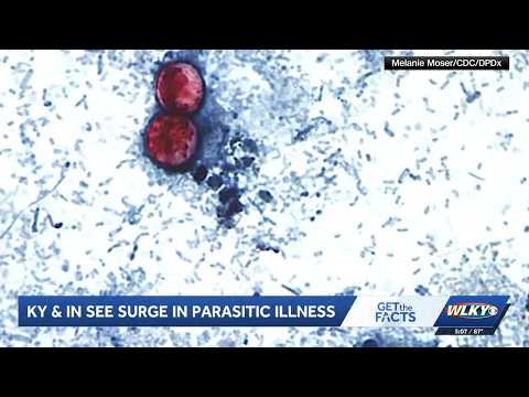 Get the Facts: Parasitic illness that causes severe diarrhea found in Kentucky, Indiana