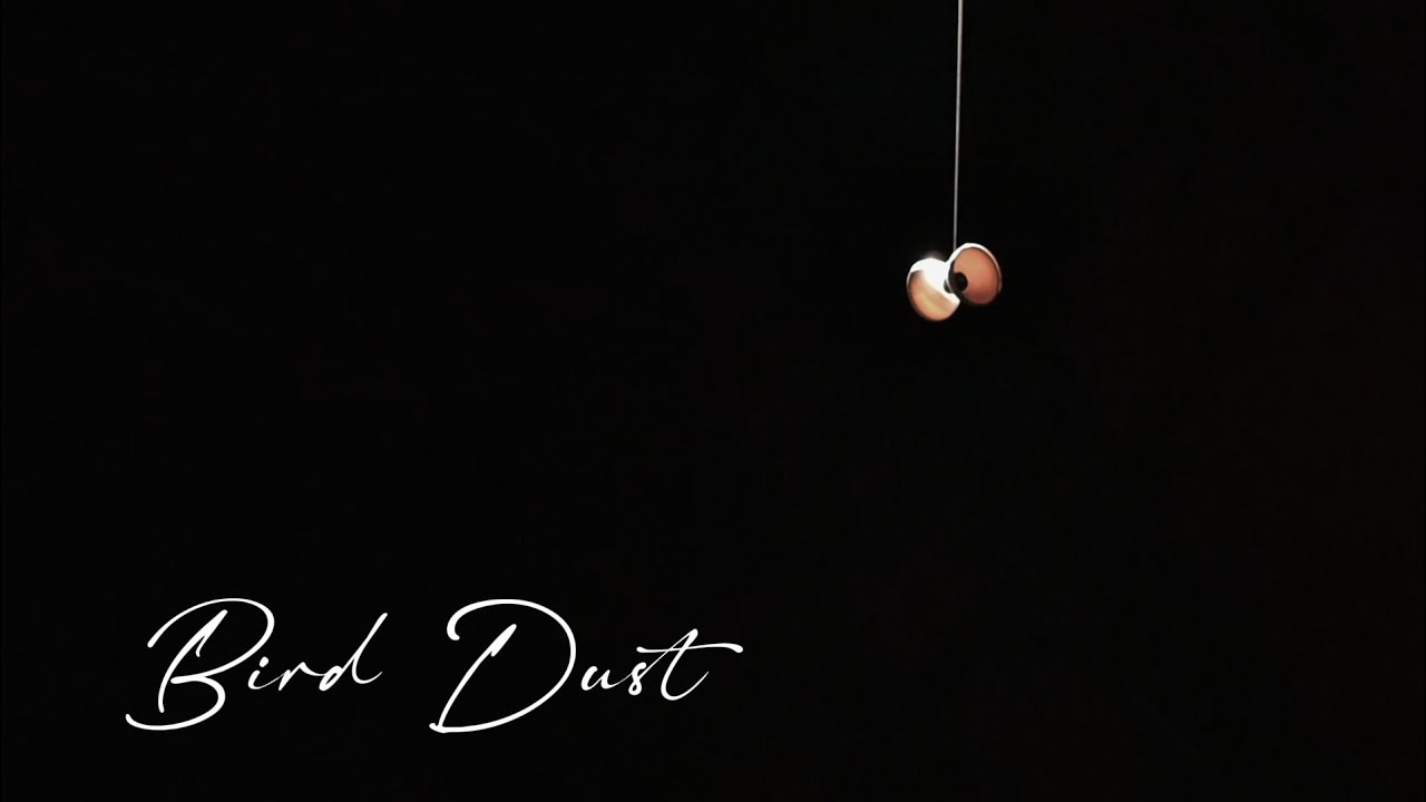 Bird Dust | Teaser - YouTube