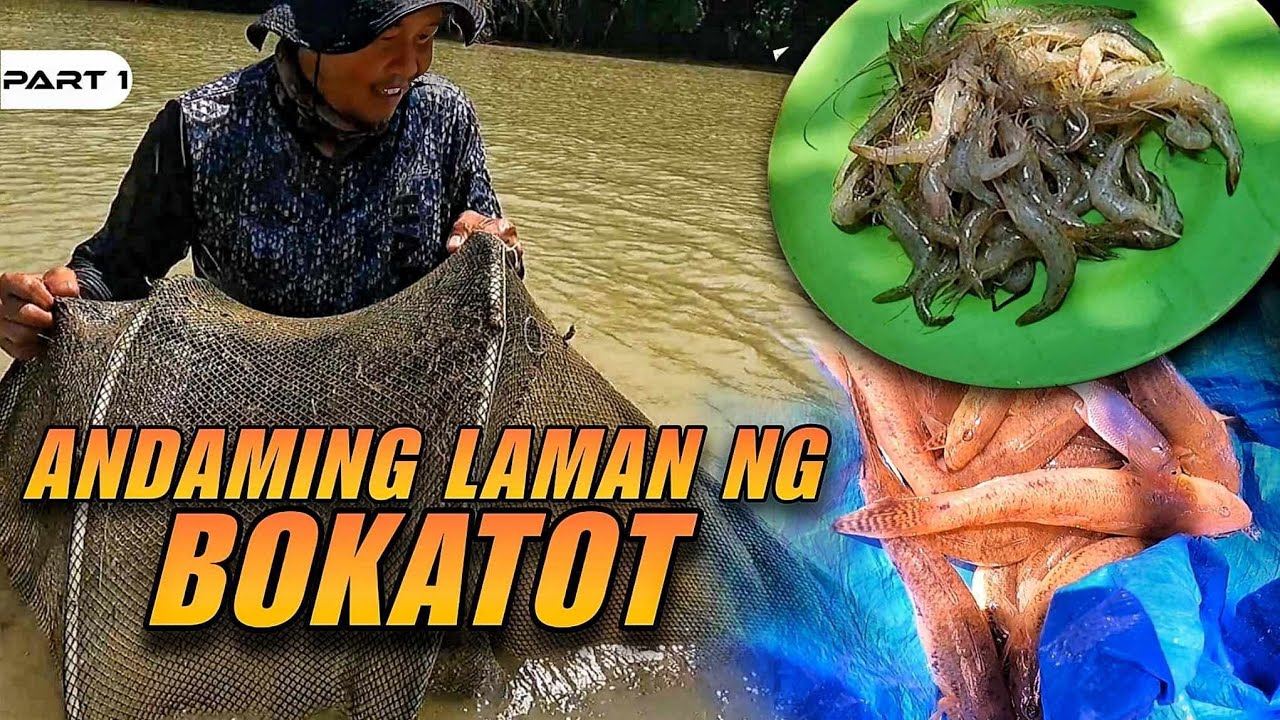 P1 - Maraming Laman ang Bokatot - EP1484 - YouTube