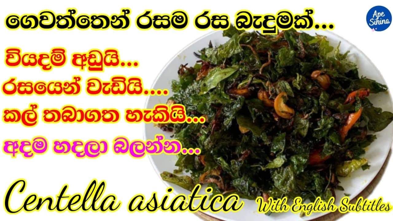 ගෙවත්තෙන් ඕනම බතකට ගැලපෙන රසවත් බැදුමක් | Gotu kola Recipe | Gotu kola ...