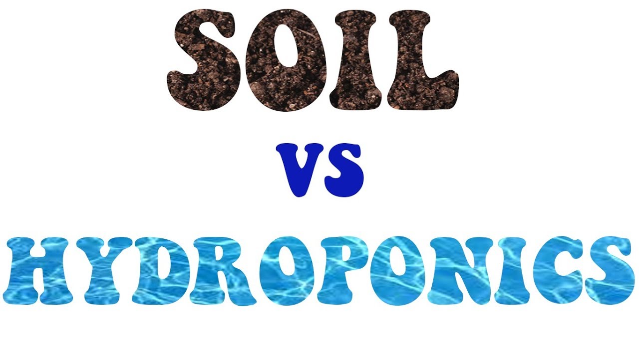 Soil vs Hydro Part 2: hydroponic system types - YouTube