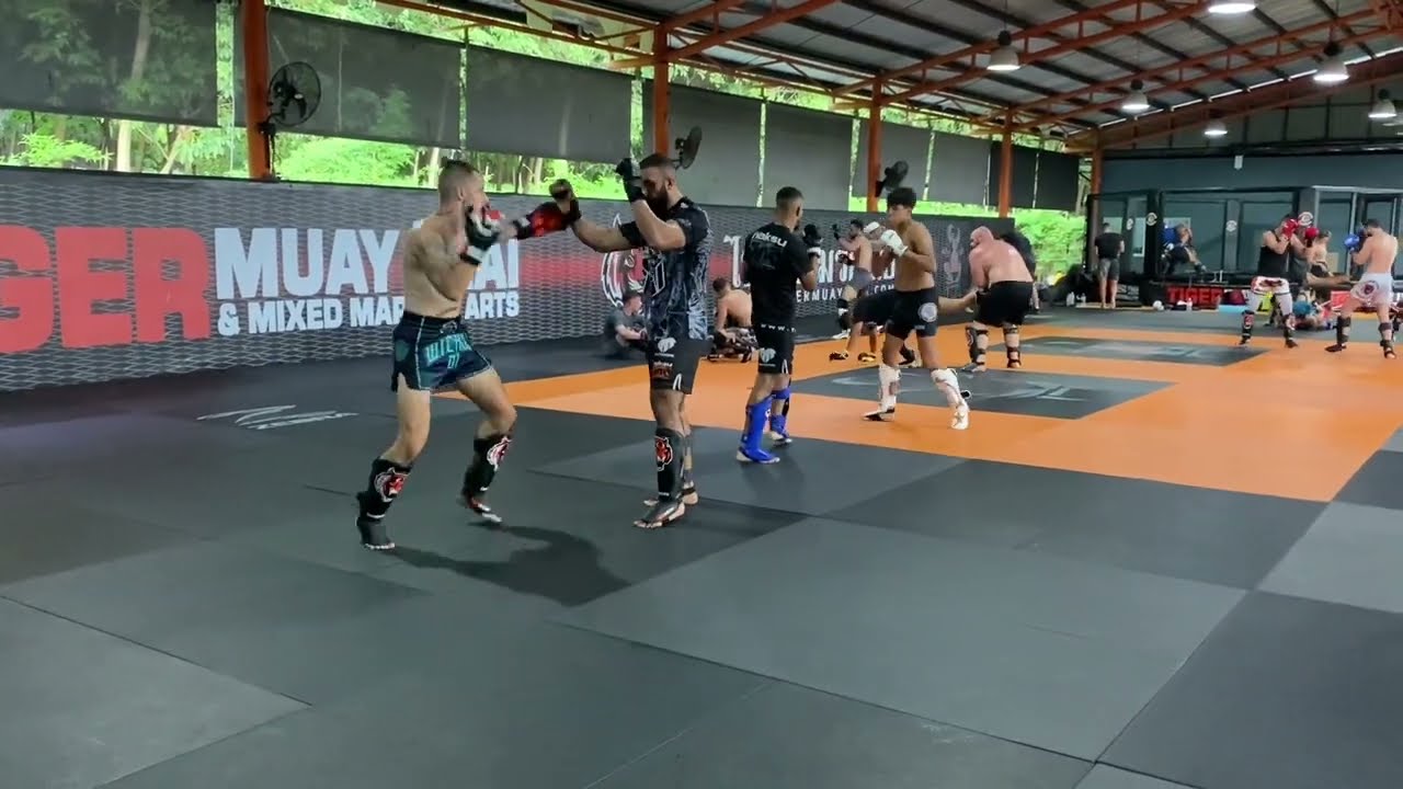 MMA training in tiger Muay Thai 🇹🇭 - YouTube