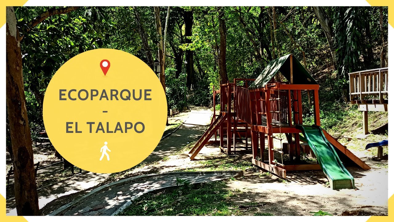 El sonido de las CHICHARRAS en ECOPARQUE EL TALAPO indica llegada de ...