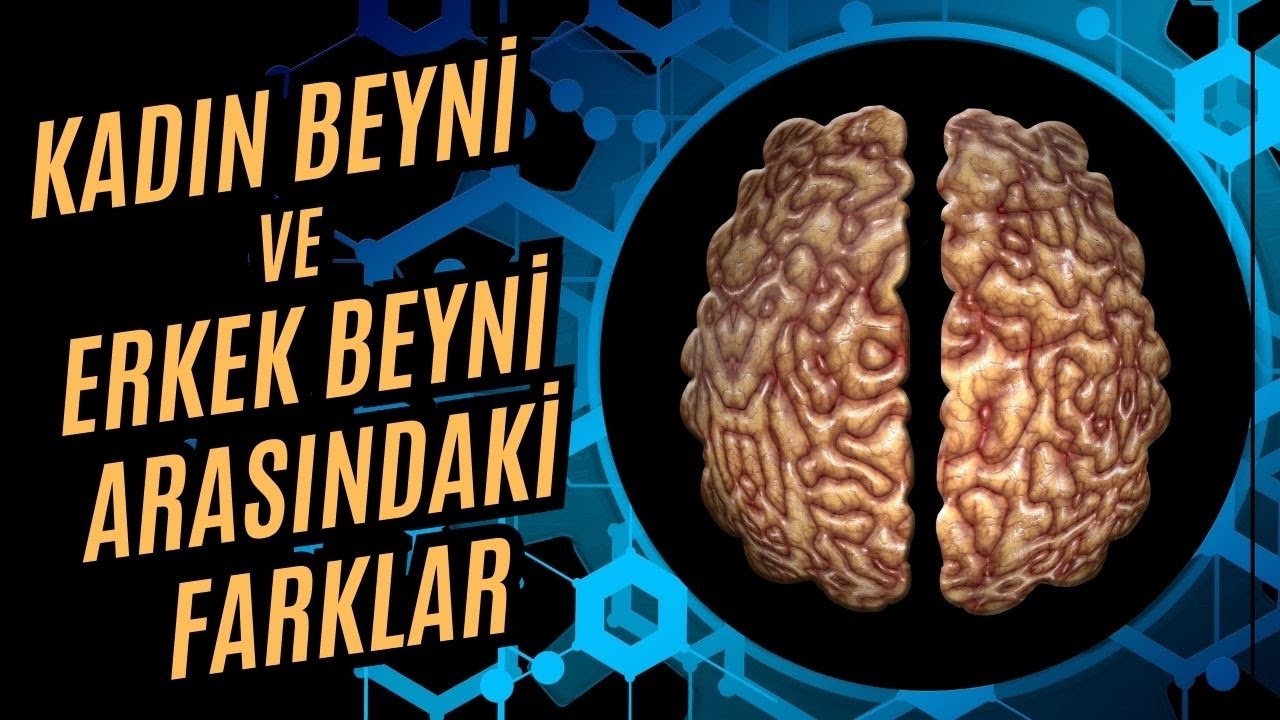 Kadın Beyni ve Erkek Beyni Arasındaki Farklar - YouTube