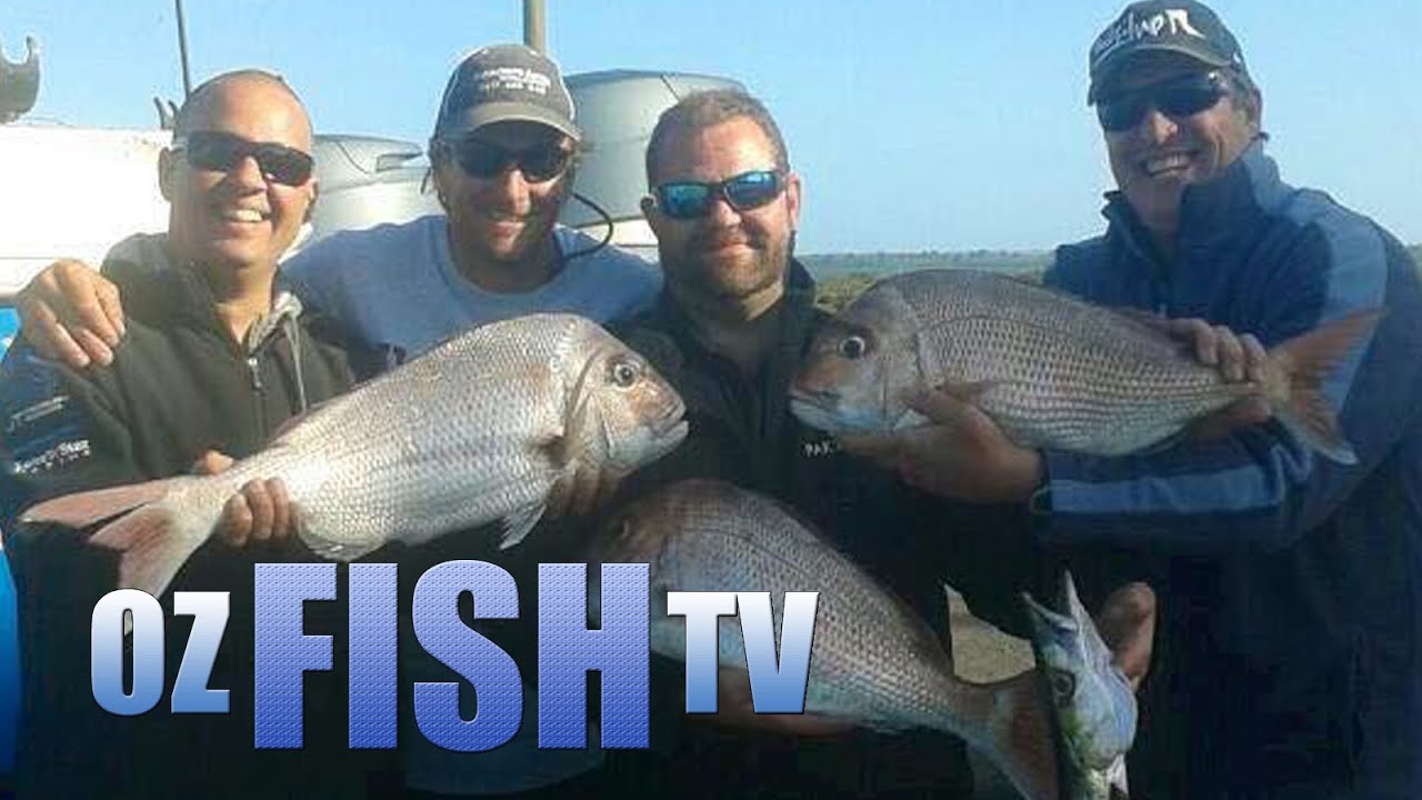 Oz Fish TV Season 3 Episode 3 Western Port Snapper On Anchors Away oz-fish-tv-season-3-episode-3-western-port-snapper-on-anchors-away