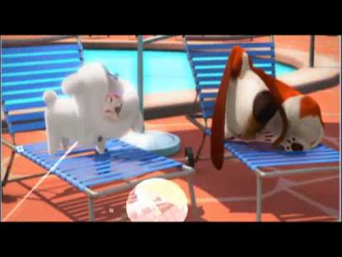 Çılgın Dostlar 2 Pazar Düşler Sinaması Kuşağı