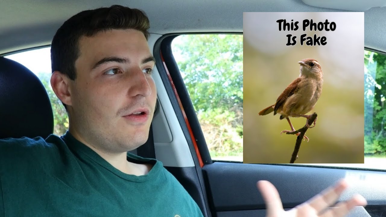 Unlocking the Hidden Secrets of Pro Bird Photography - YouTube