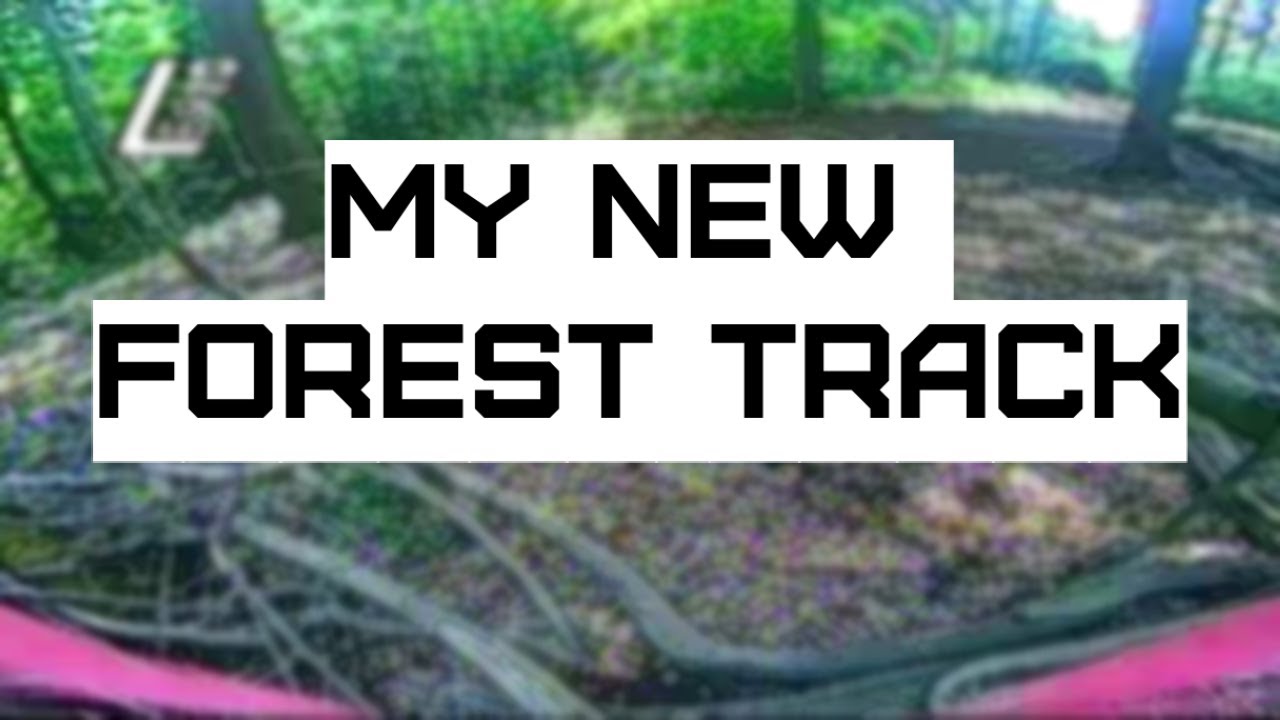MY NEW FOREST TRACK - YouTube