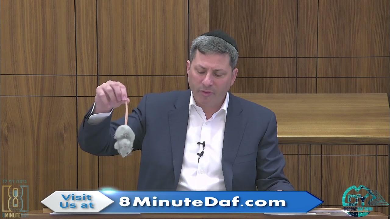 Beitzah Daf 36 - Grab it by the tale - YouTube