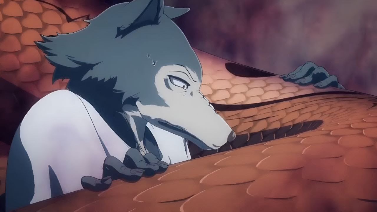 Legoshi’s Feet Scenes from Beastars Season 1, 2, and 3 - YouTube