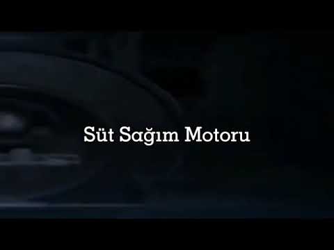Kaplan Tedarik Zinciri -Volt Süt Sağım Motoru Ve Ekipmanları