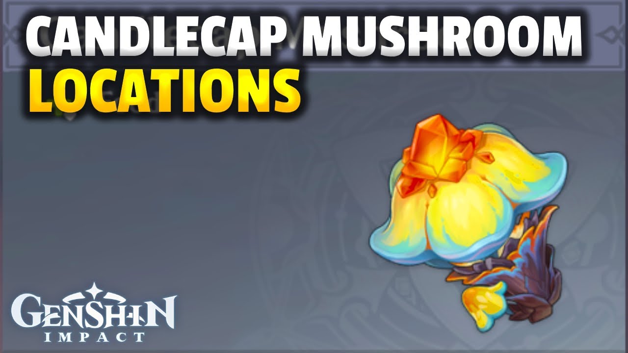CANDLECAP MUSHROOM LOCATIONS | Genshin Impact - YouTube