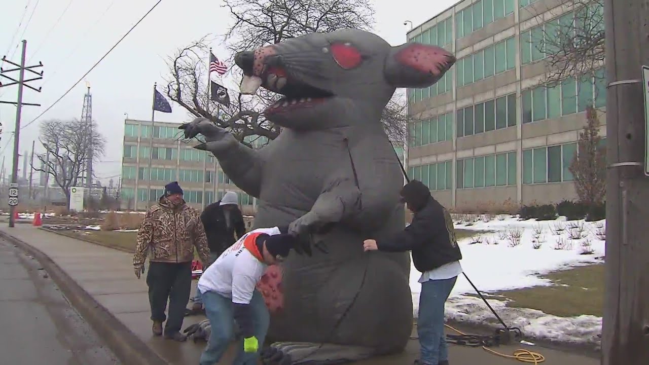 Is Chicago-born union protest ‘Scabby the Rat’ about to be exterminated ...