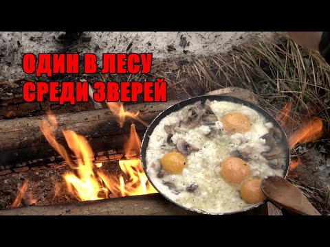 Зимний поход в лес с палаткой | Solo bushcraft | Winter Camping