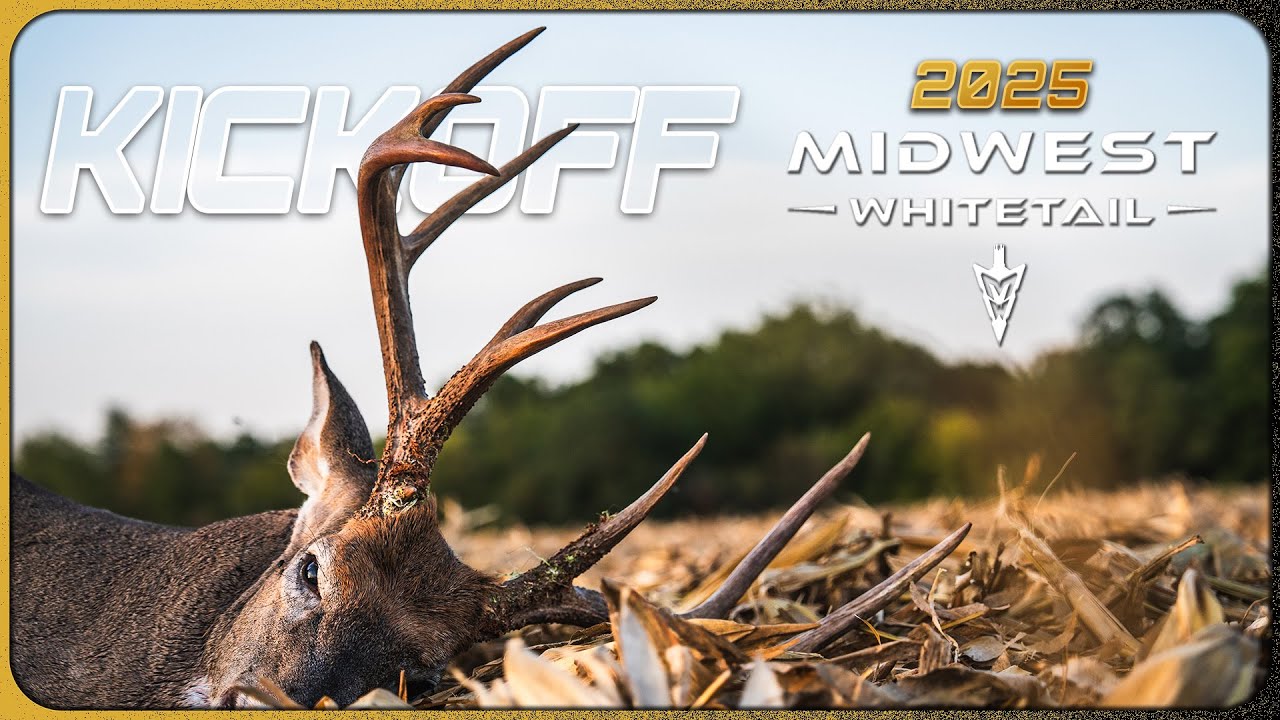 Logotipo De Realtree Buck Arcade X Realtree Collection | Stretch Work