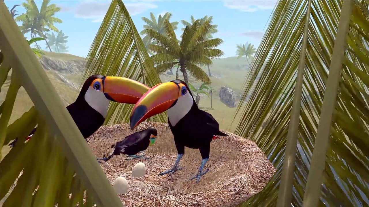 Toucan Bird Simulator Ultimate Bird Simulator - YouTube